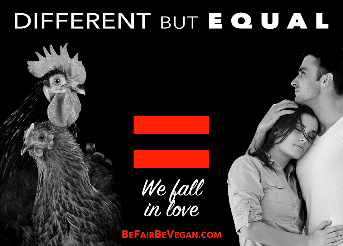 ANIMAL EQUALITY